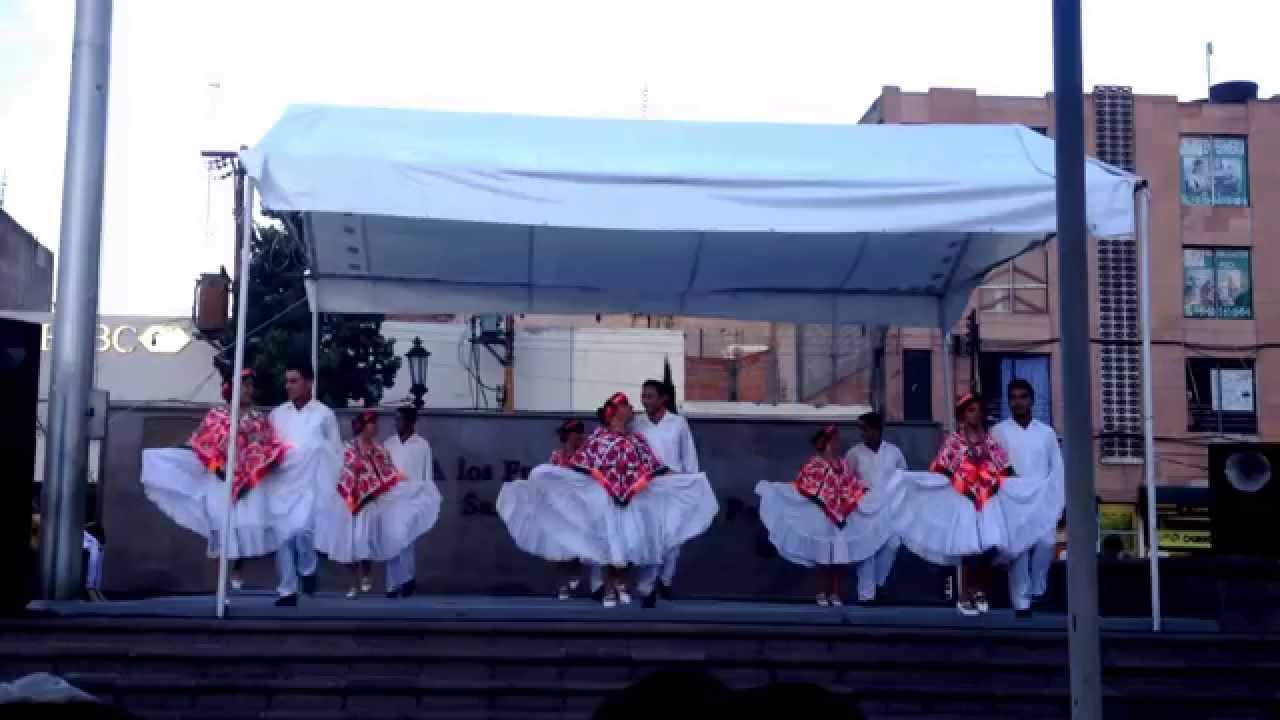 Grupo Folklórico Tradición Potosina "Huapango Potosino" - YouTube