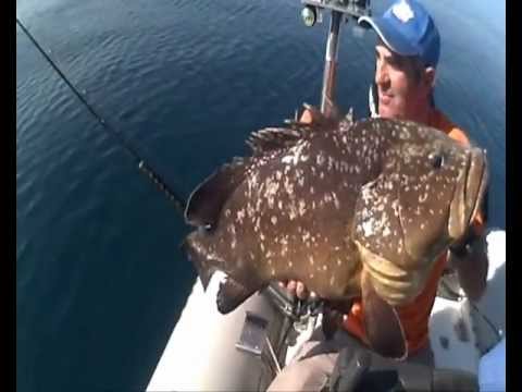grouper ΡΟΦΟΣ ΣΥΡΤΗ-Ν1 sotos fishing wmv - YouTube