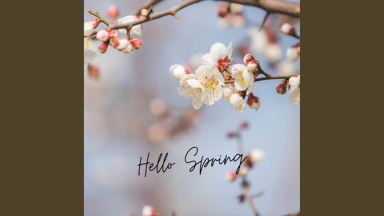 Forever Wave - YouTube Music