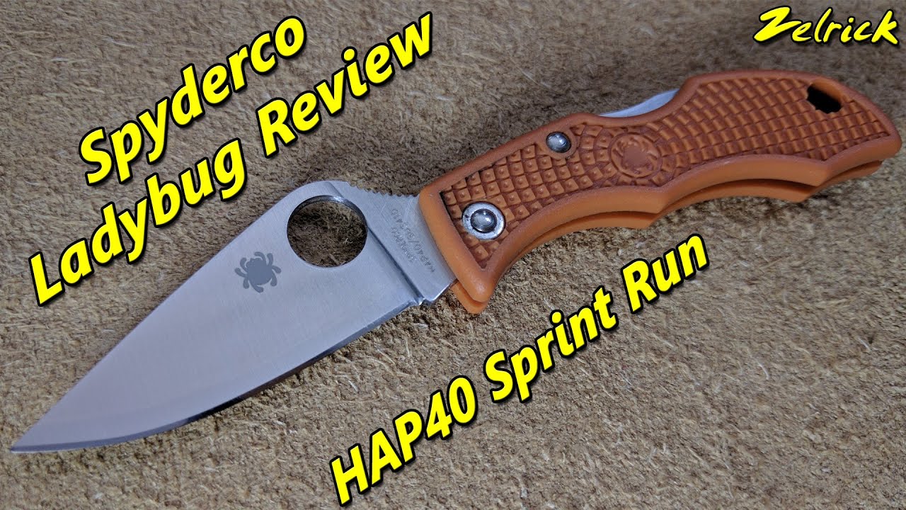 Spyderco LadyBug Review / HAP40 Sprint Run - YouTube