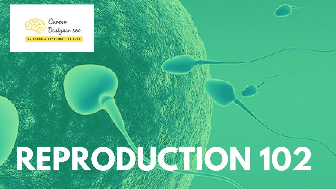 Reproduction 102 - Biology (Class 12) - YouTube
