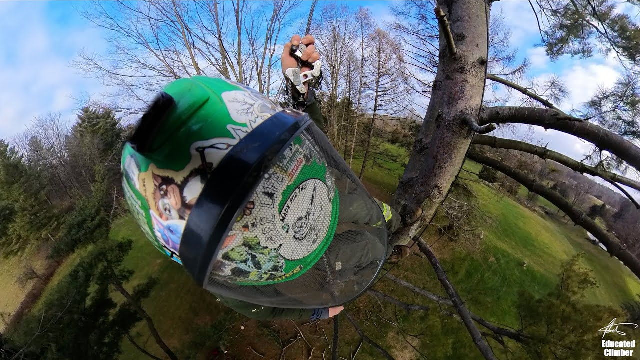 Climbing Trees for Fun and Profit - YouTube