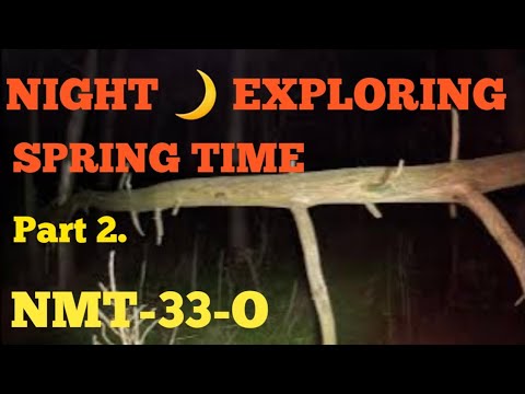 NIGHT EXPLORING : SPRING TIME Part 2. - YouTube