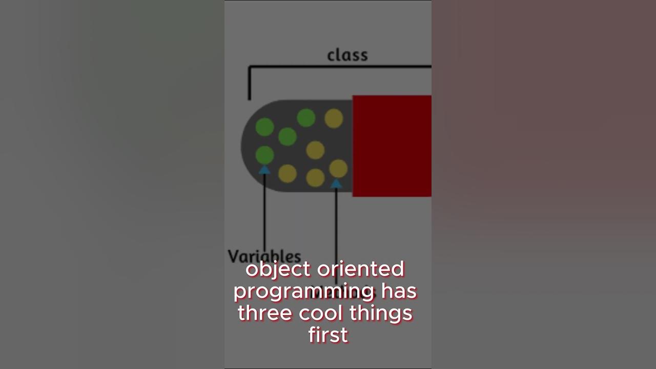 Introduction to OOP | Java #1 - YouTube