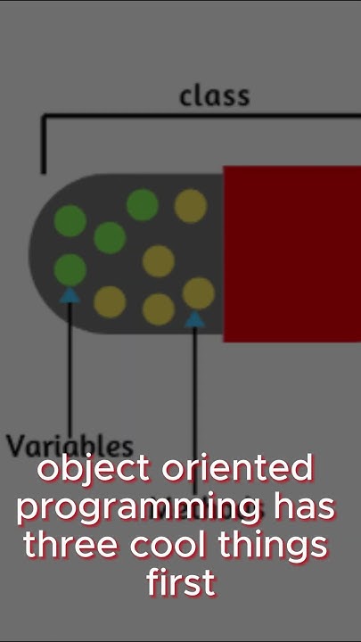 Introduction to OOP | Java #1 - YouTube