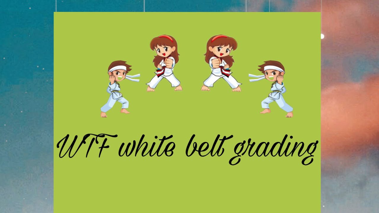 WTF white belt grading - YouTube