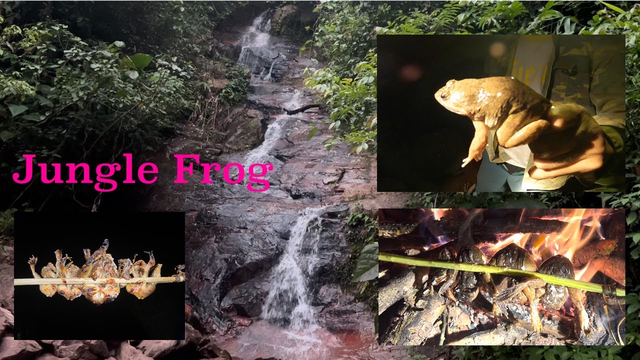 Catch and Cook Jungle Flog - YouTube
