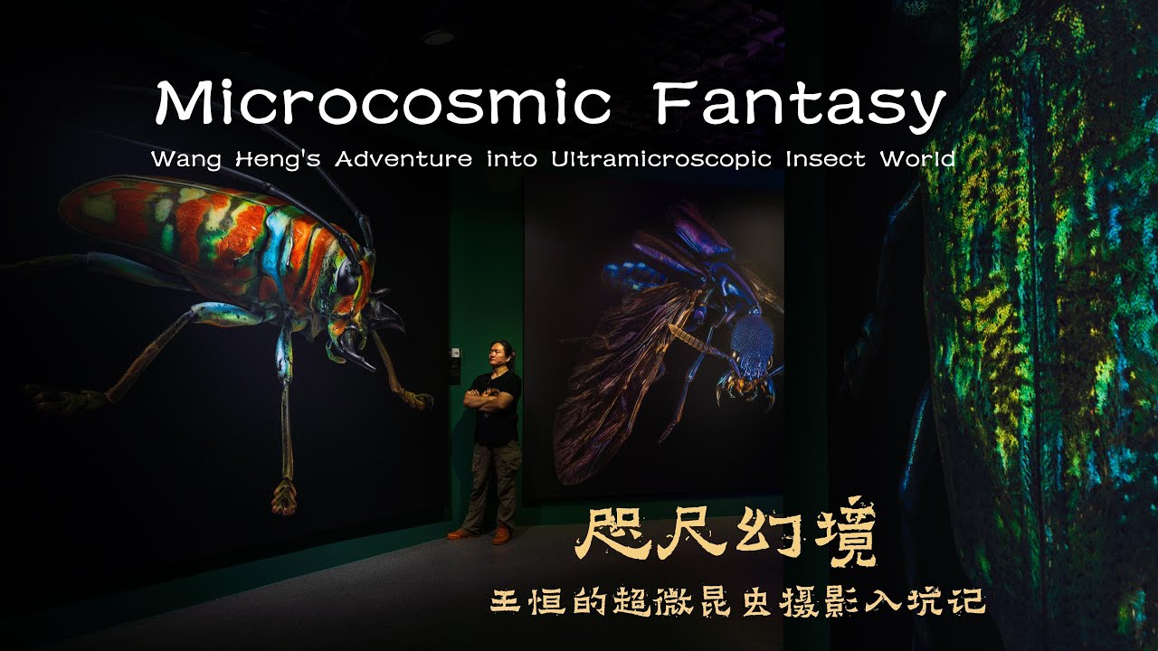 Microcosmic Fantasy -- Wang Heng's adventure into Ultramicroscopic ...
