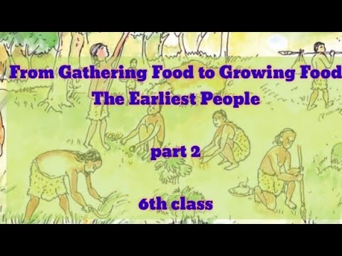 From Gathering food to growing food - The earliest people part 2 6th ...