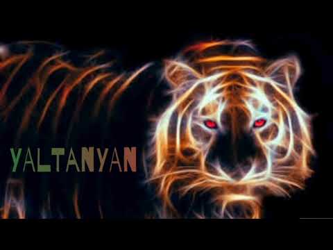 FiveStar ft GaJaN - Yaltanyan 2023🔥 #fivestar #gajan #Tazeje #Tazelik