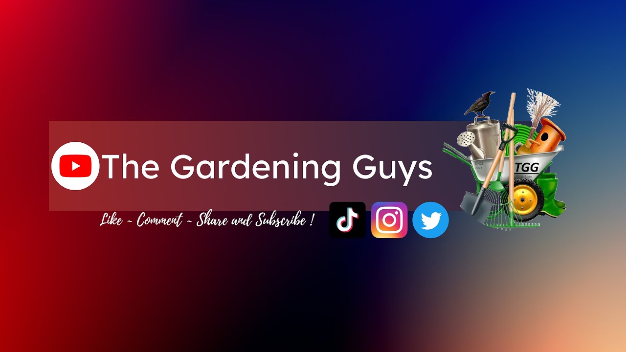 The Gardening Guys ~ The Plot Clean up ! #gardening - YouTube