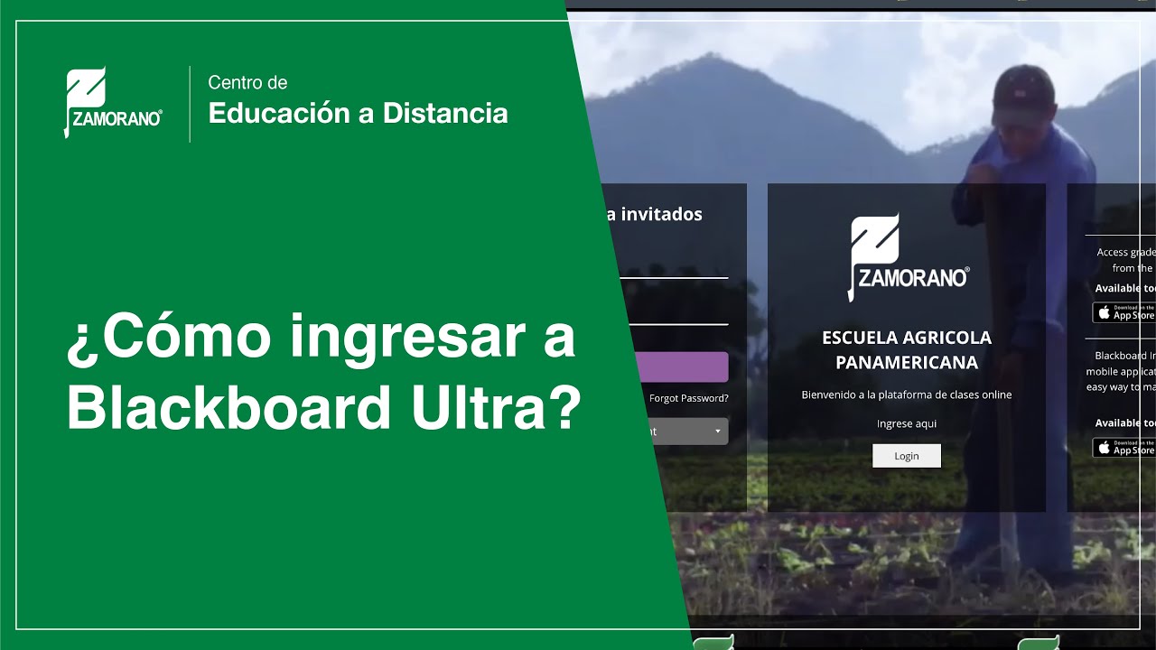 ¿Cómo ingresar a Blackboard Ultra? - YouTube