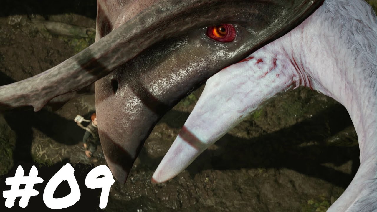 Star Wars Jedi Fallen Order | Walkthrough Part 9 - Shyyo Bird - YouTube