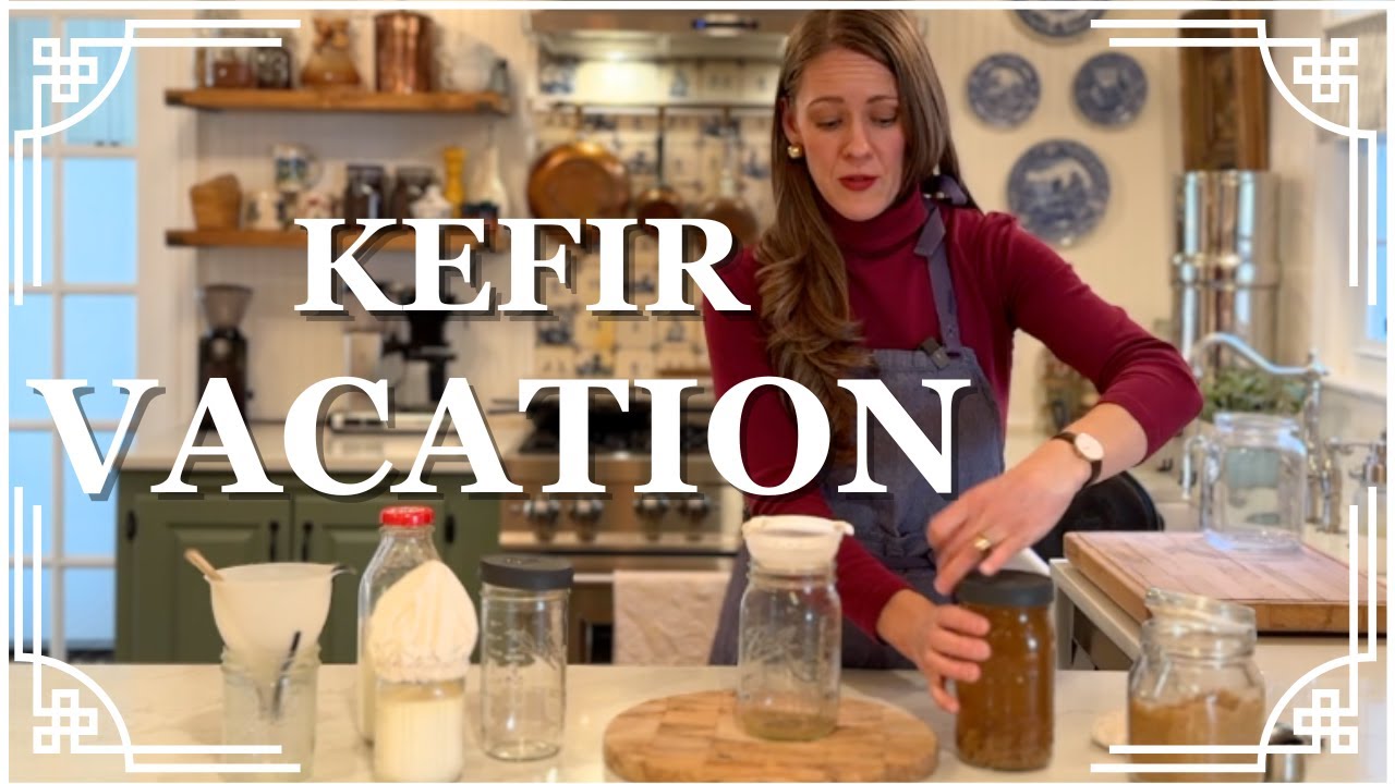 How to Take a BREAK from Your KEFIR GRAINS | What to Do With Your KEFIR ...