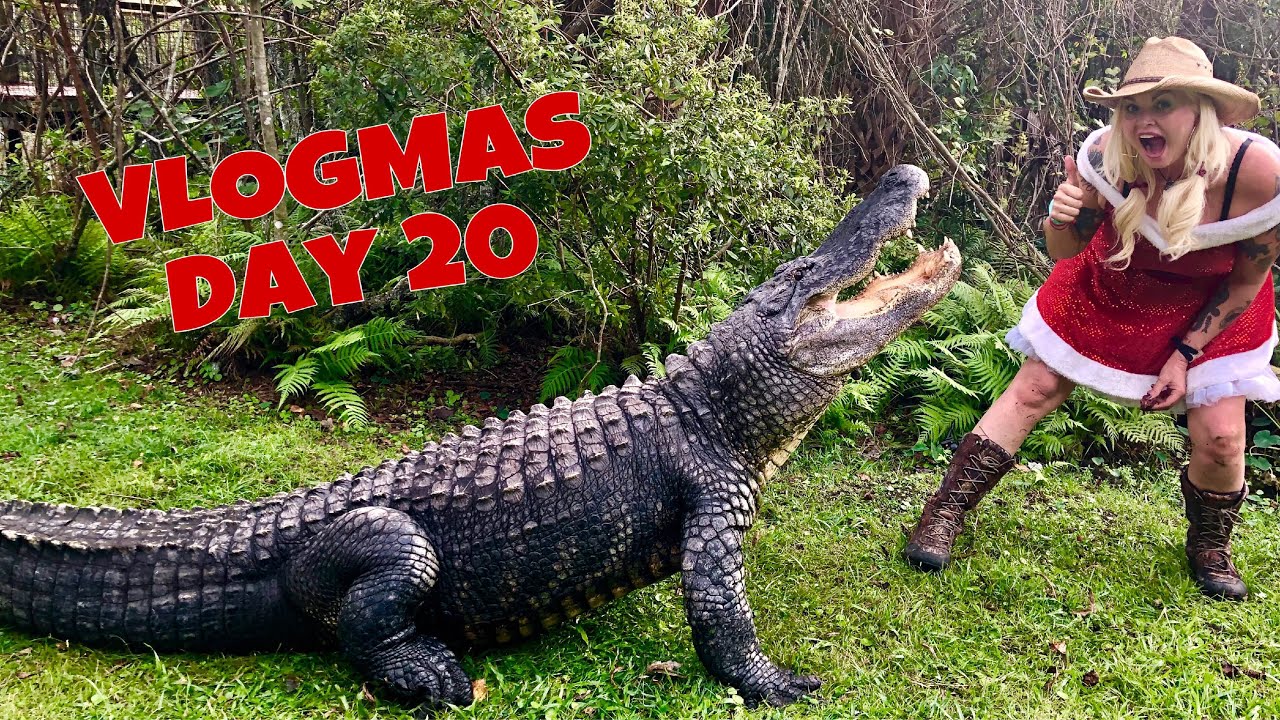 Crocodiles, Alligators, tornado warnings, crabs & ribs! VLOGMAS Day 20 ...