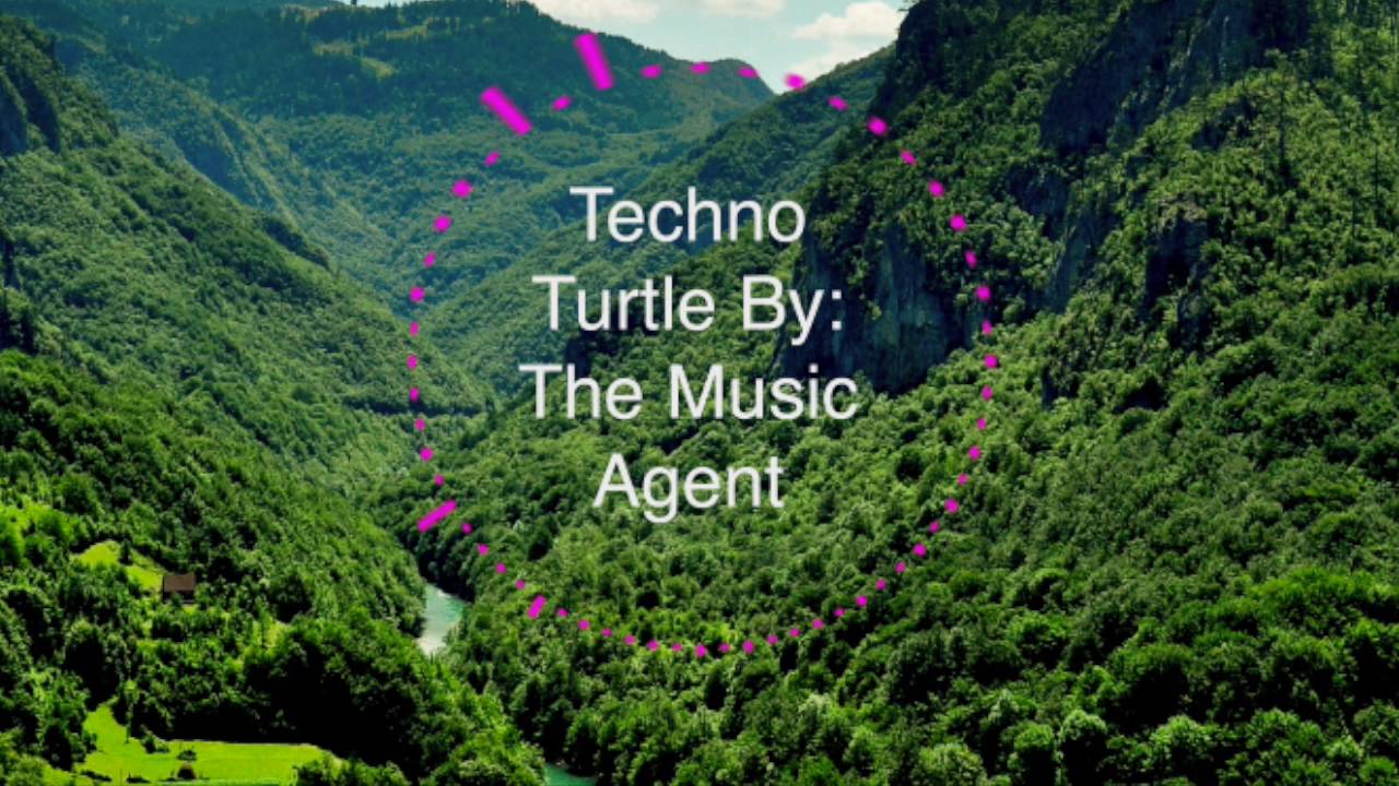 Techno Turtle Dubstep Techno Music - YouTube