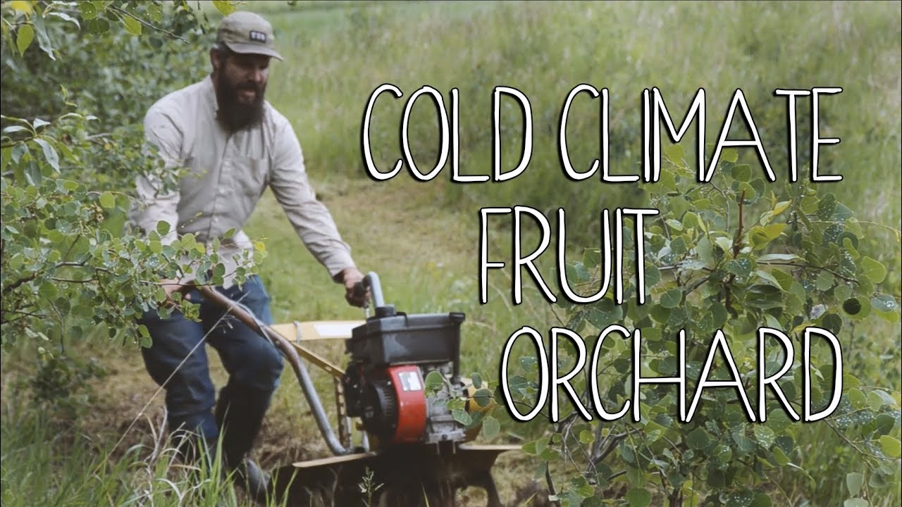 Cold Climate Fruit Orchard | Northern Gardens - YouTube