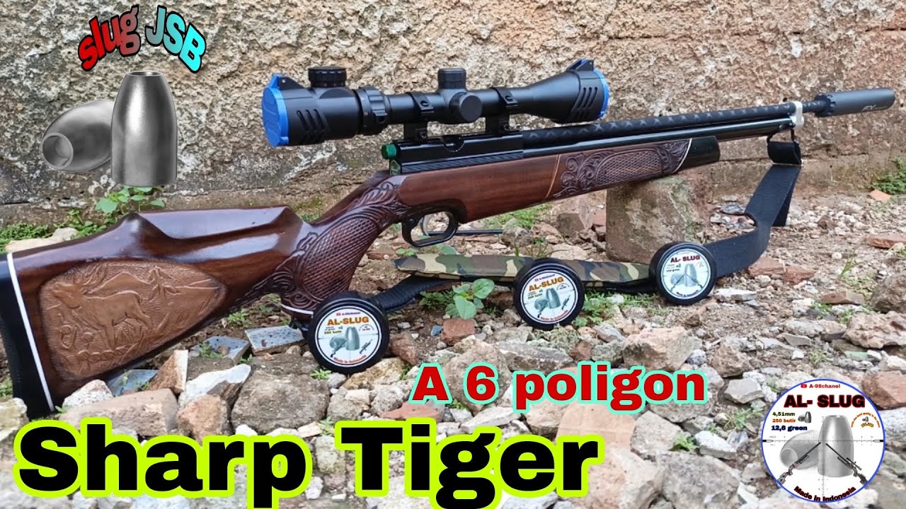 SHARP TIGER TRUGLO FULL UPGRADE PESANAN BAPAK DADANG DI KOREA 💯💯 - YouTube