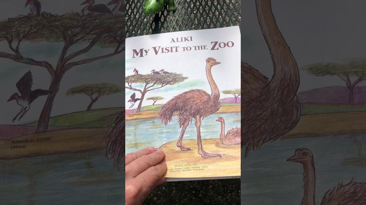 Miss Camille reads My visit to the Zoo - YouTube