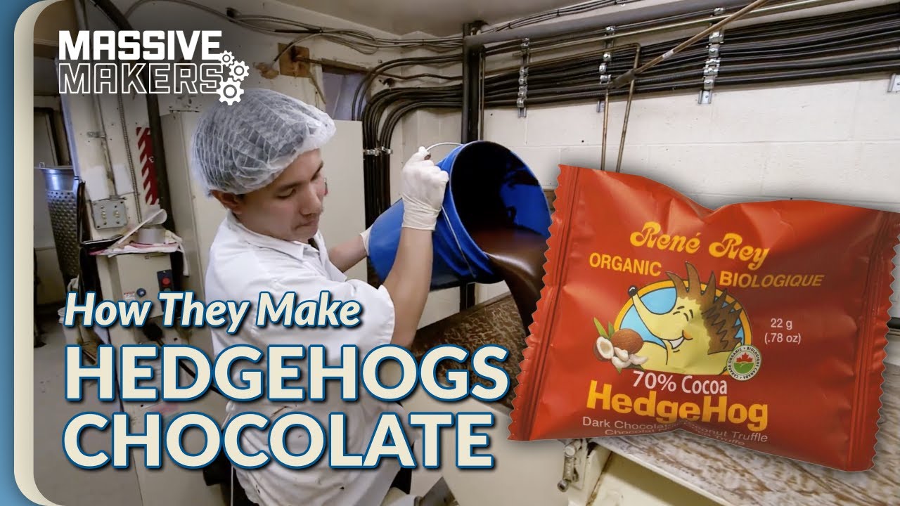 Crafting Hedgehog Chocolate Truffles by Hand | Food Factory - YouTube