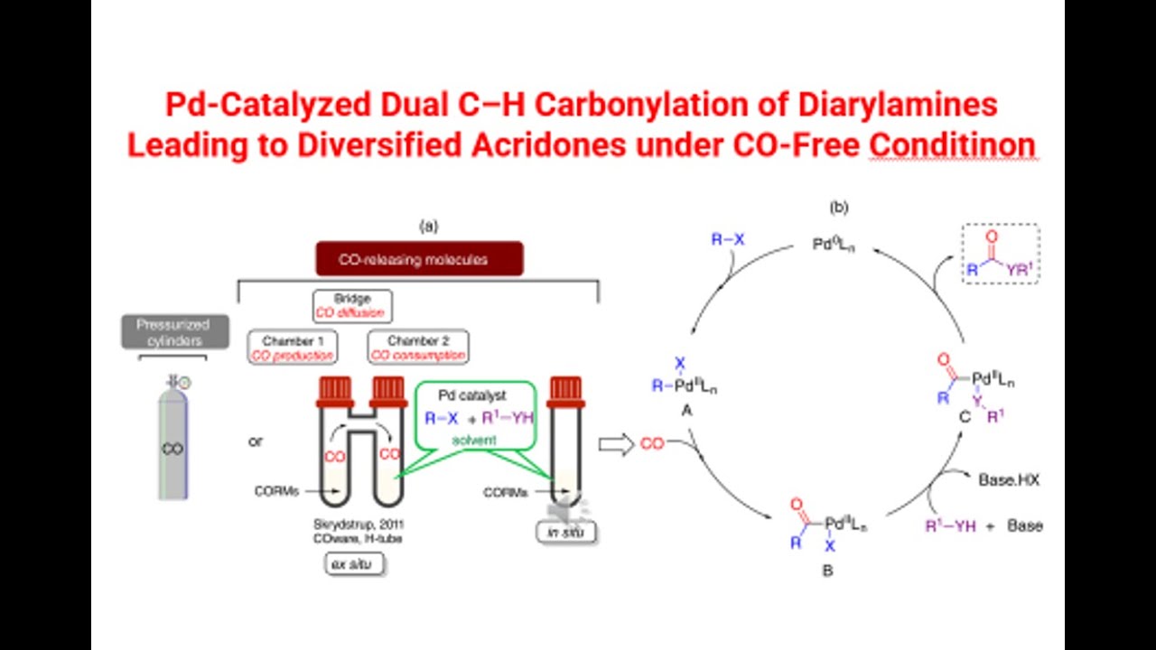 Pd-Catalyzed Dual C–H Carbonylation of Diarylamines... - YouTube