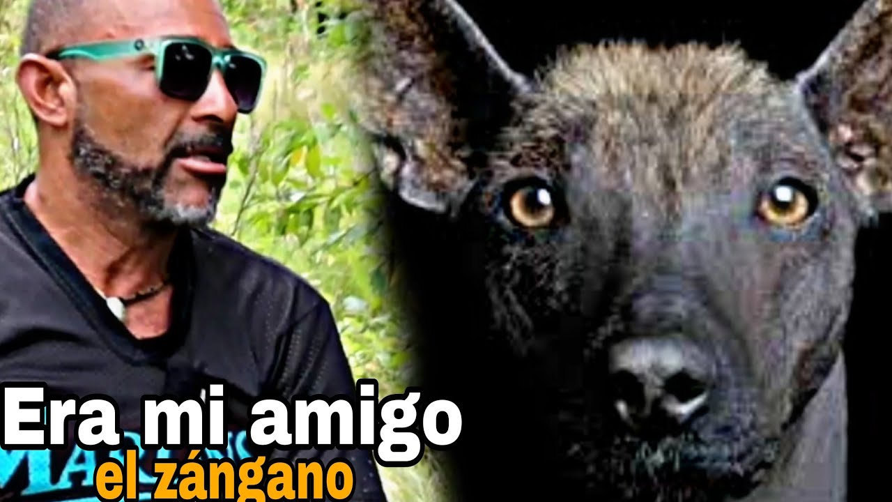 Mi Amigo Era Un Zàngano Se Convertia En Animal Fue Increible Lo Que Me ...