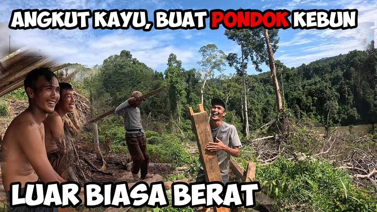 Angkat Kayu Untuk Pondok Kebun Bersama @PakCinut - YouTube