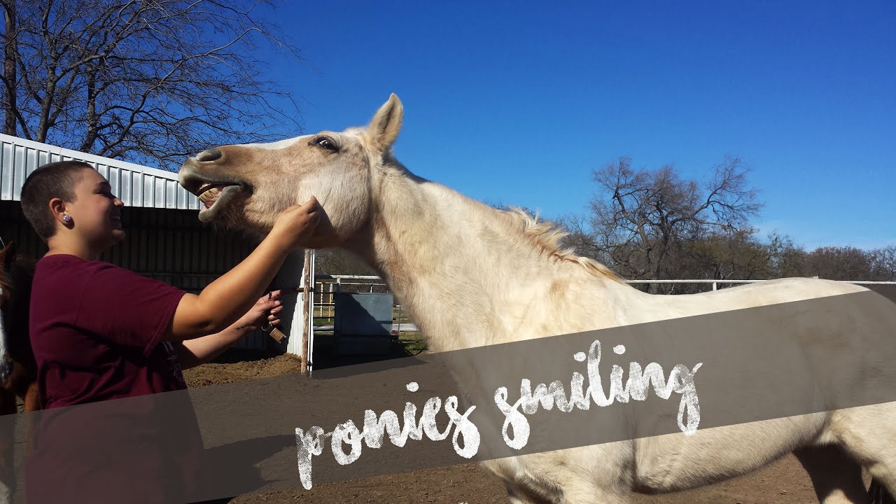 Ponies Smiling - YouTube