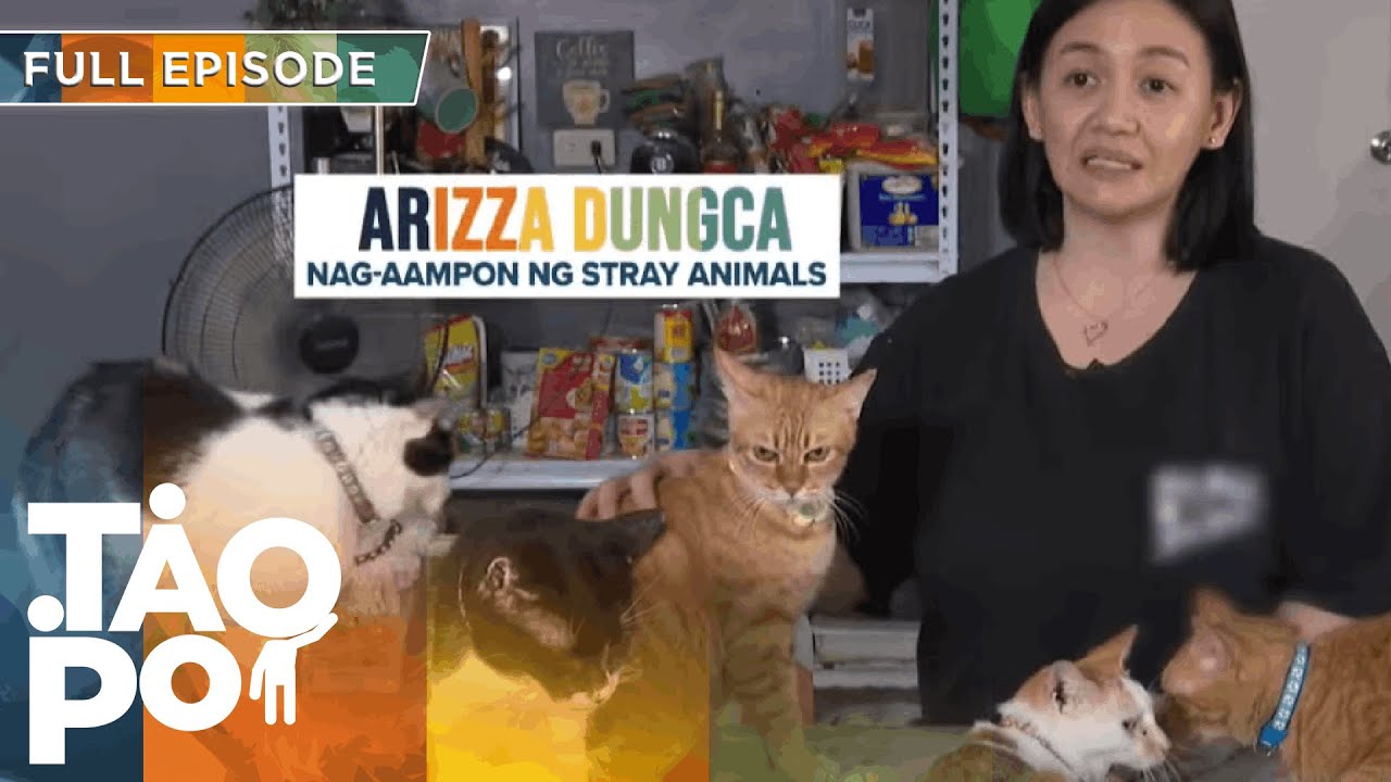 Tao Po | March 17, 2024 - YouTube