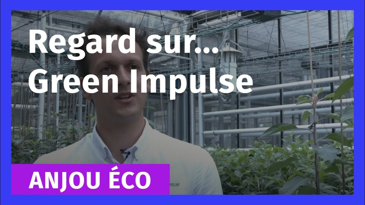 Regard sur... GREEN IMPULSE - YouTube