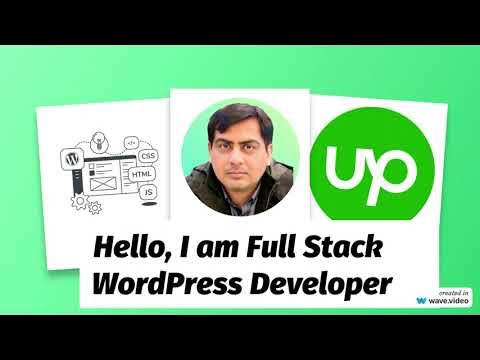 WordPress Full Stack Developer - YouTube