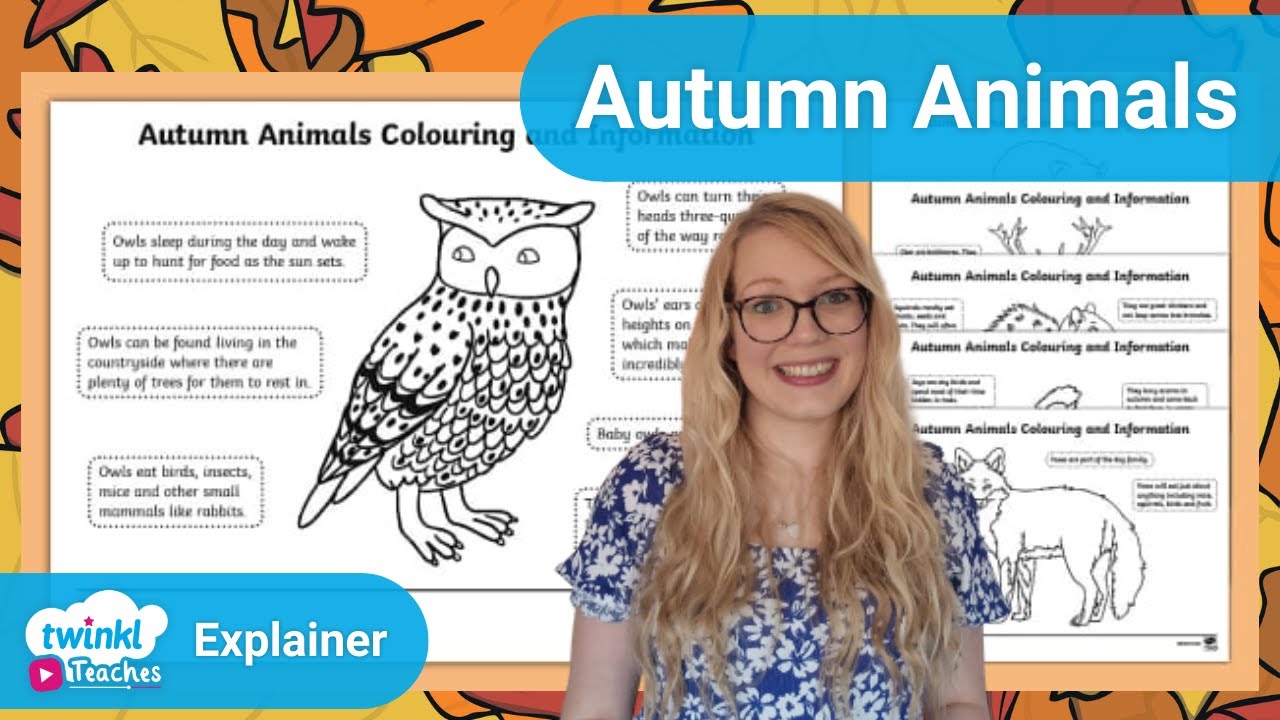 Teaching About Autumn Animals - YouTube