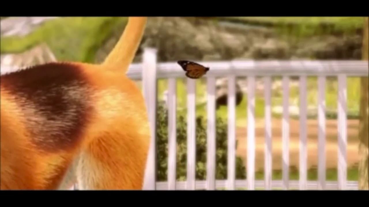 Dog's Life Jake Fart Compilation - YouTube