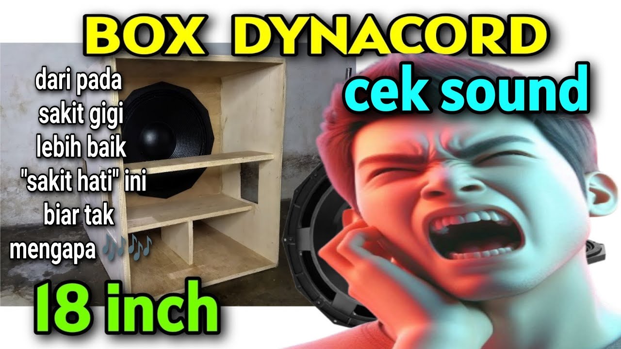 Box DYNACORD 18 inch Speaker 18 inch JIC LS 18140 tes disaat sakit gigi ...