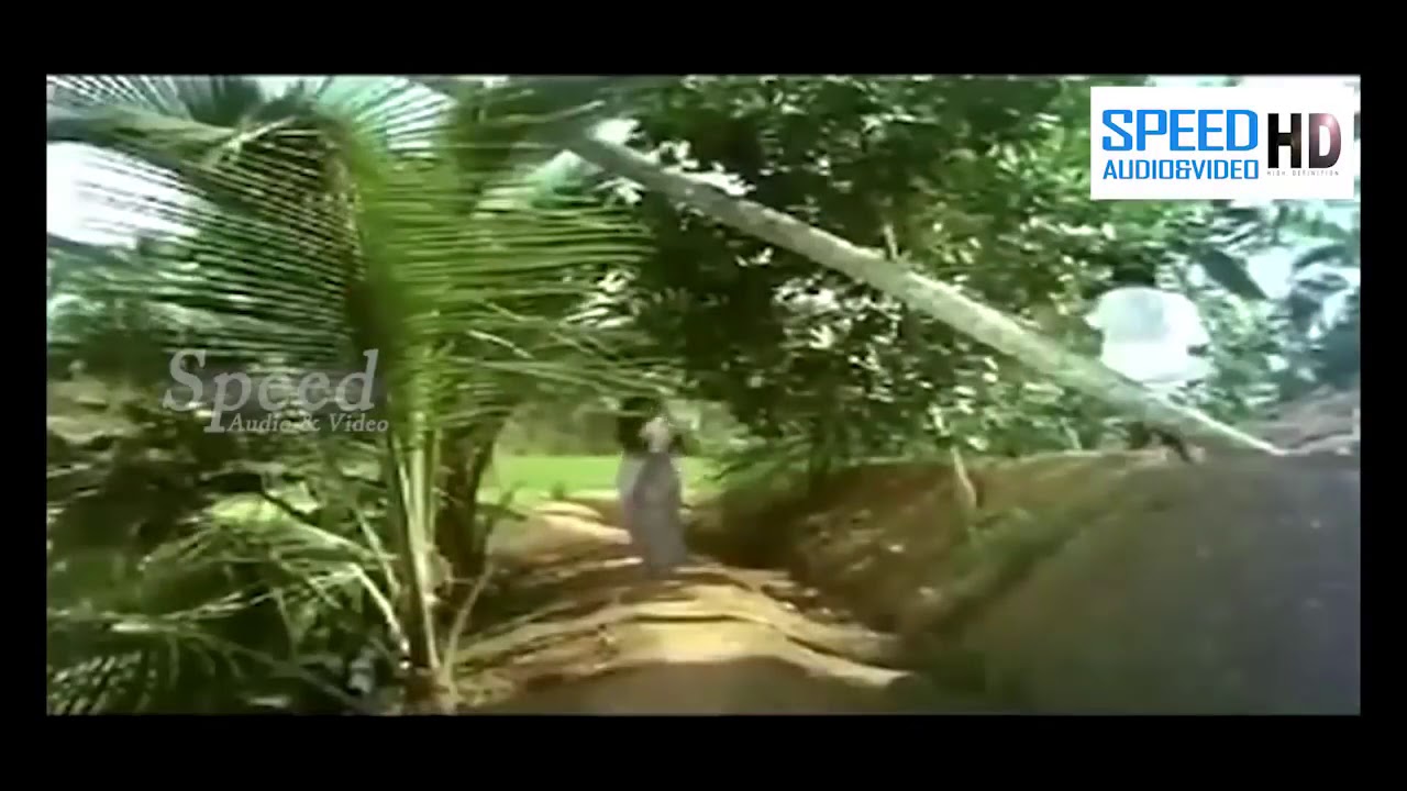 kallan pavithran with bama scn1 - YouTube