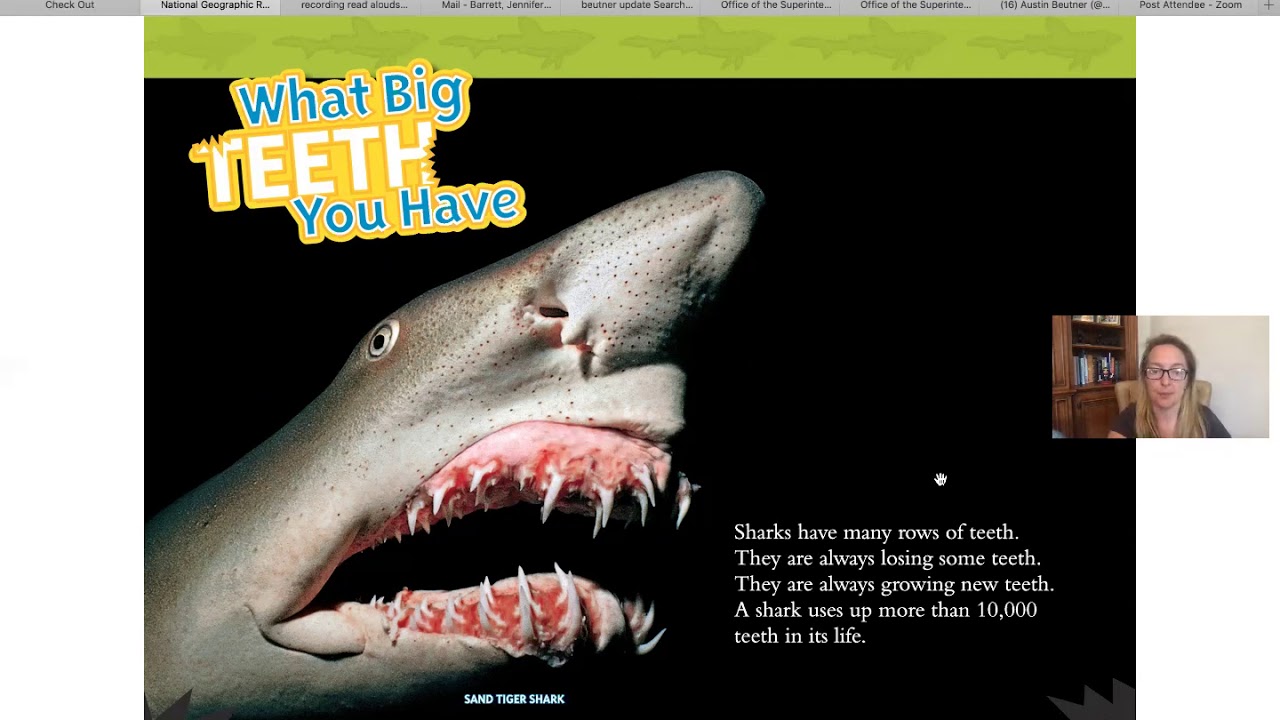 Sharks! (National Geographic) by Anne Schreiber - YouTube