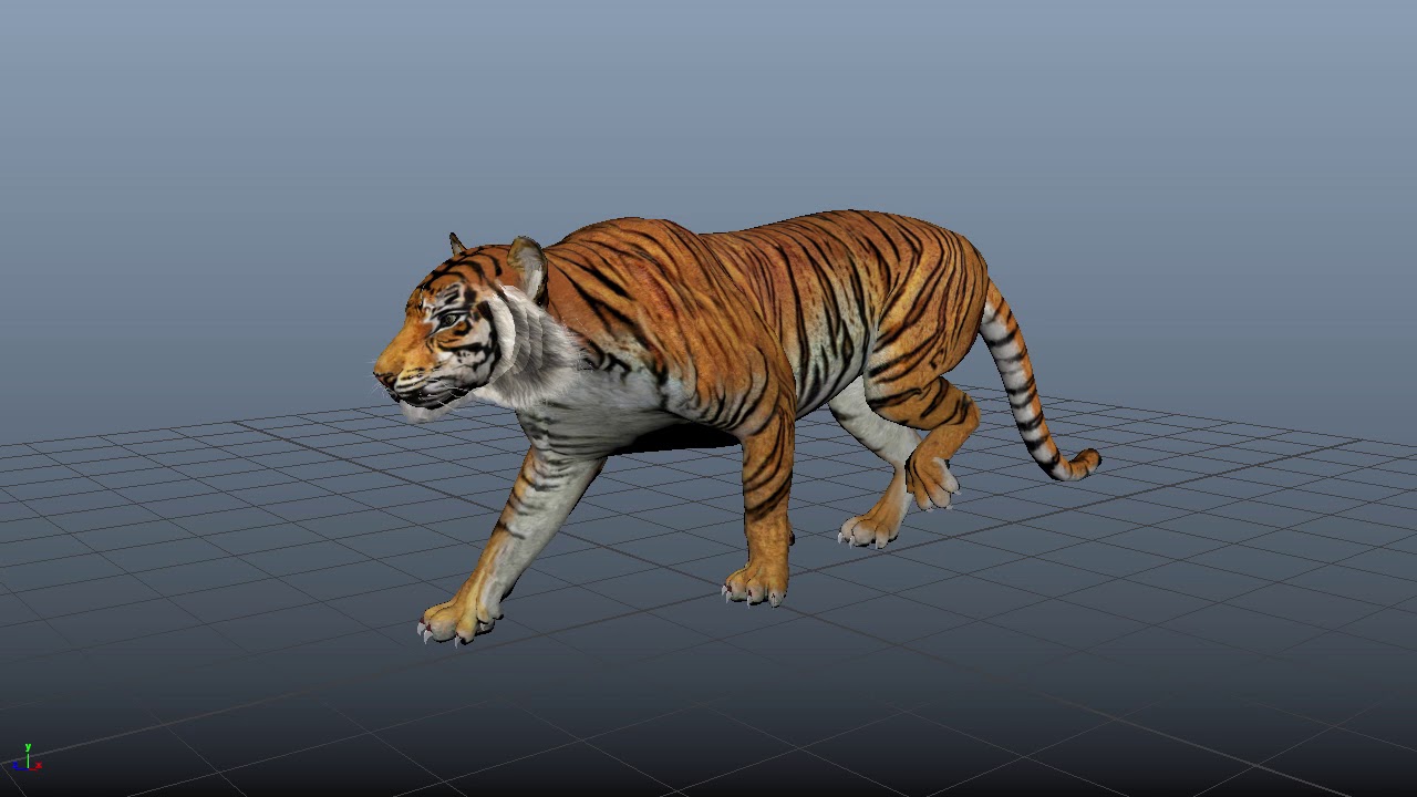 Tiger move - YouTube