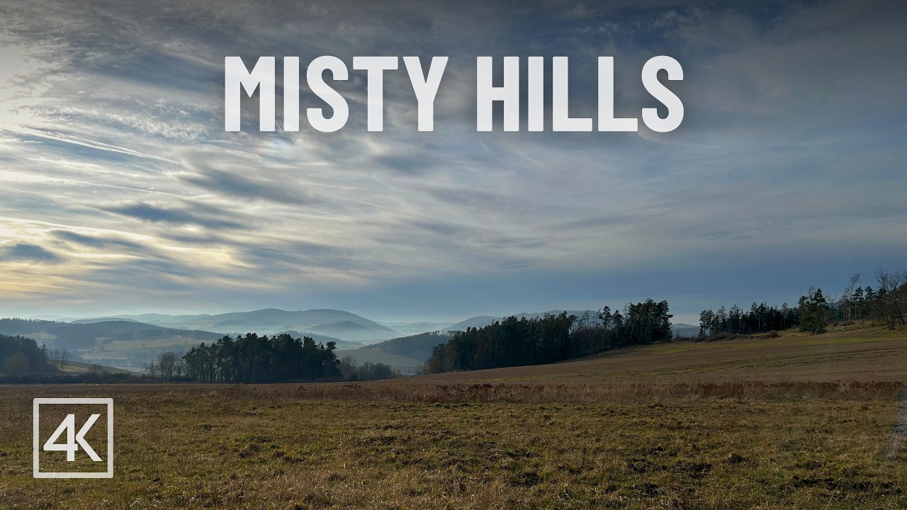 Walk Around Misty Hills | Relaxing Music | Dog & Walk | 4K Ultra HD ...