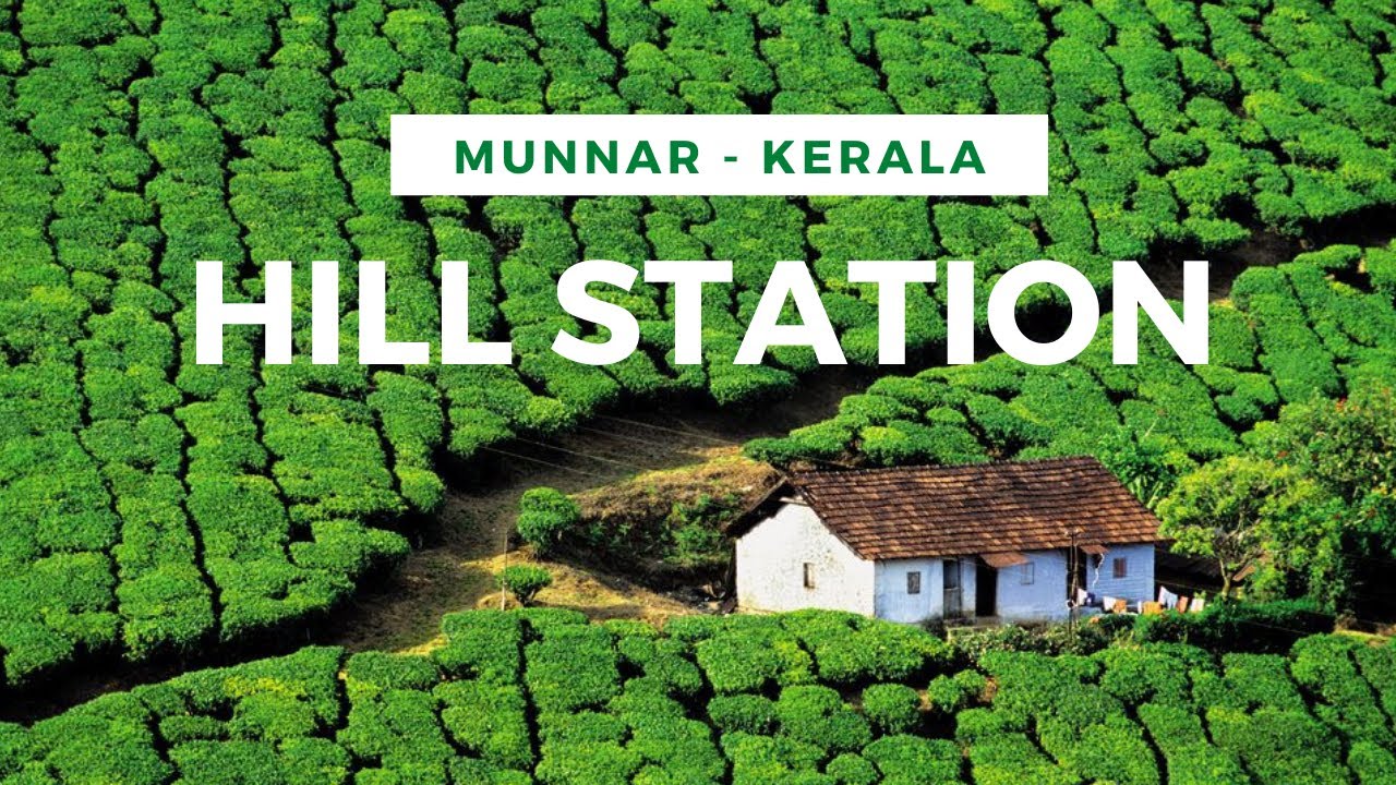 Coffee Plantation - Munnar Kerala || HILL STATION - YouTube
