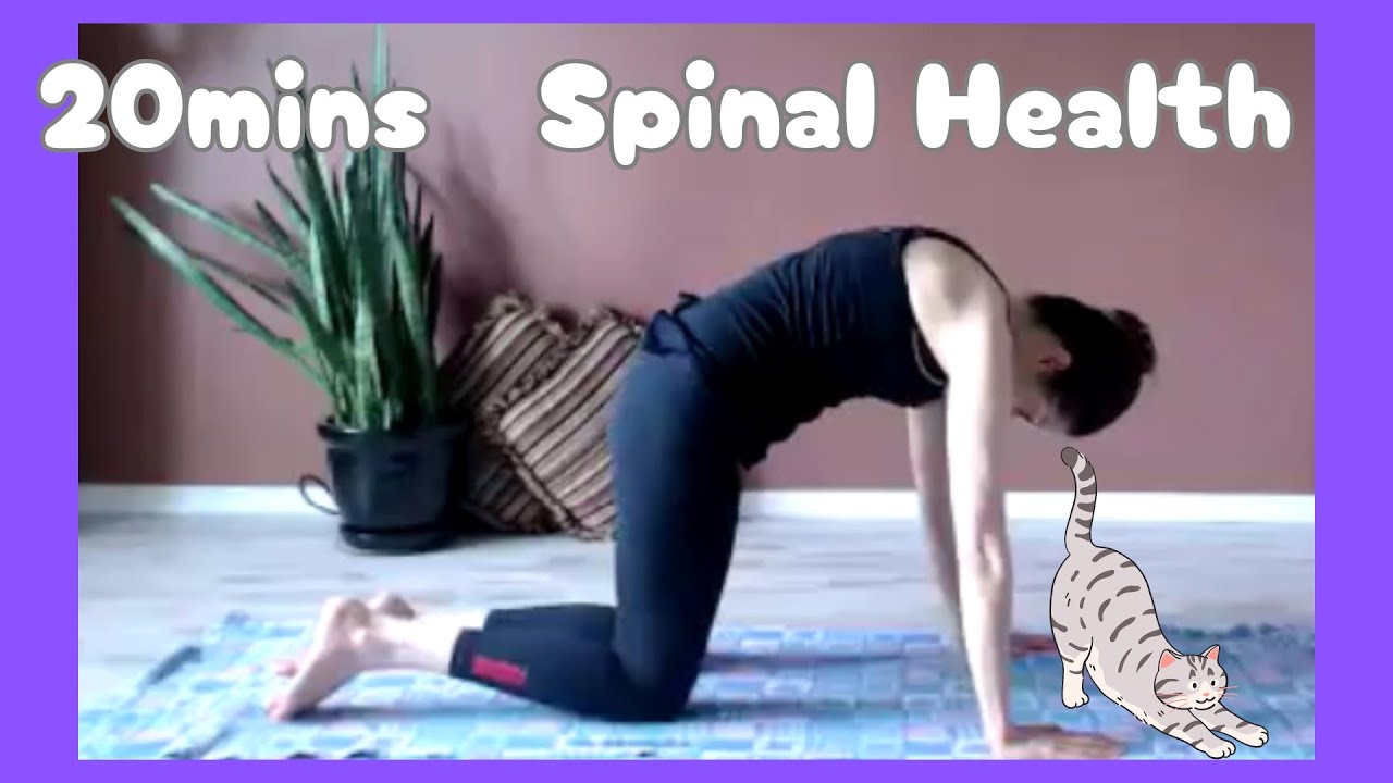20mins GENTLE YOGA FLOW For SPINAL HEALTH and Mobility - YouTube