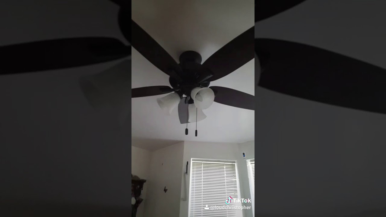 My fan base - YouTube