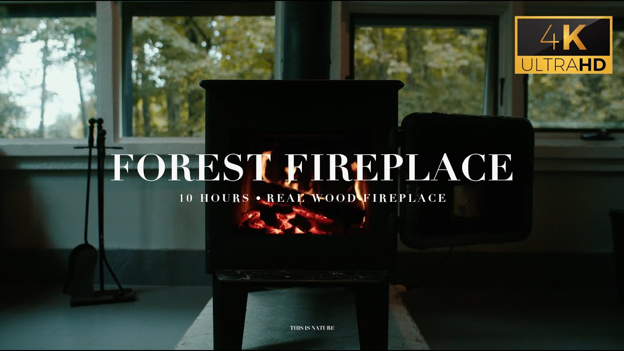 FOREST FIREPLACE (4K UHD) | Real Wood Fireplace - 10 Hours - Nature ...