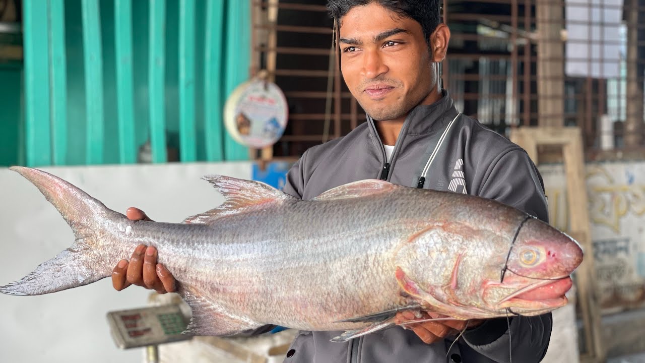 লাক্ষা মাছ প্যাকেট করা হচ্ছে। Lakkha Fish Packing | Fish Vally - YouTube