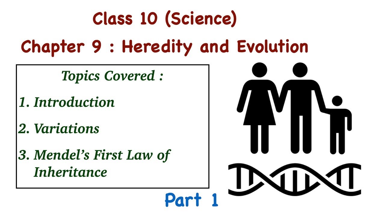 CBSE (NCERT) - Class 10 - Science - Heredity and Evolution - Part 1 ...