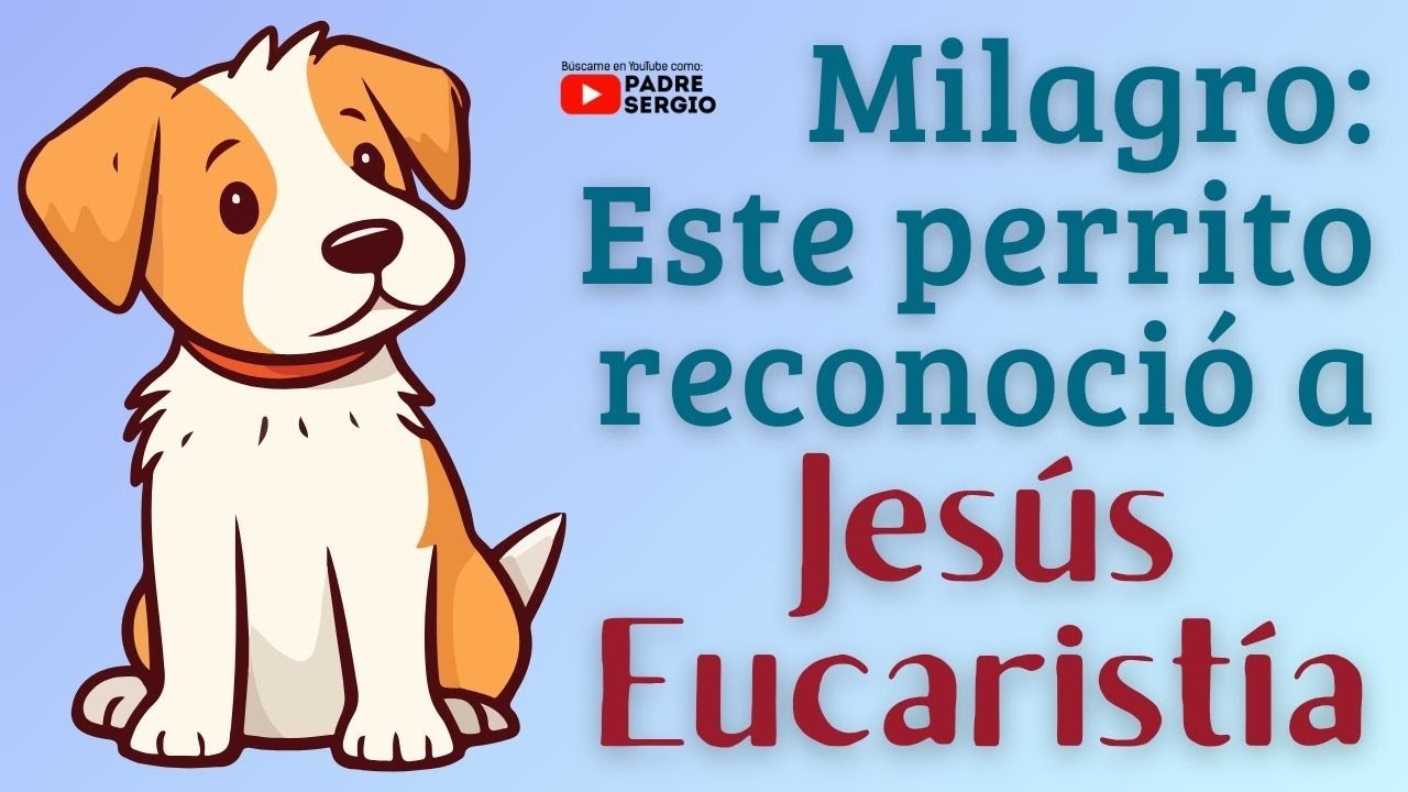 Milagro: un perrito reconoció a Jesús Eucaristía - YouTube