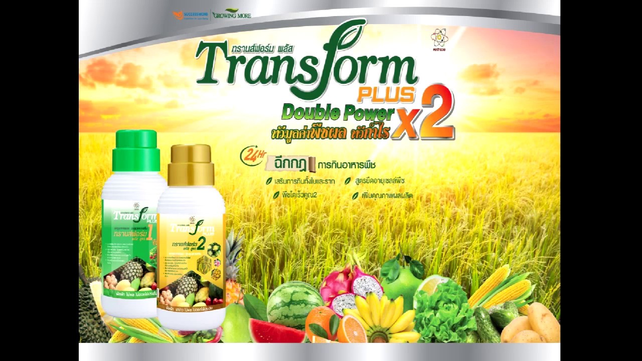 เปิดตัว Transform Plus สูตรใหม่ ไฉไลกว่าเดิม ราคาเปิดตัวเท่าเดิม - YouTube