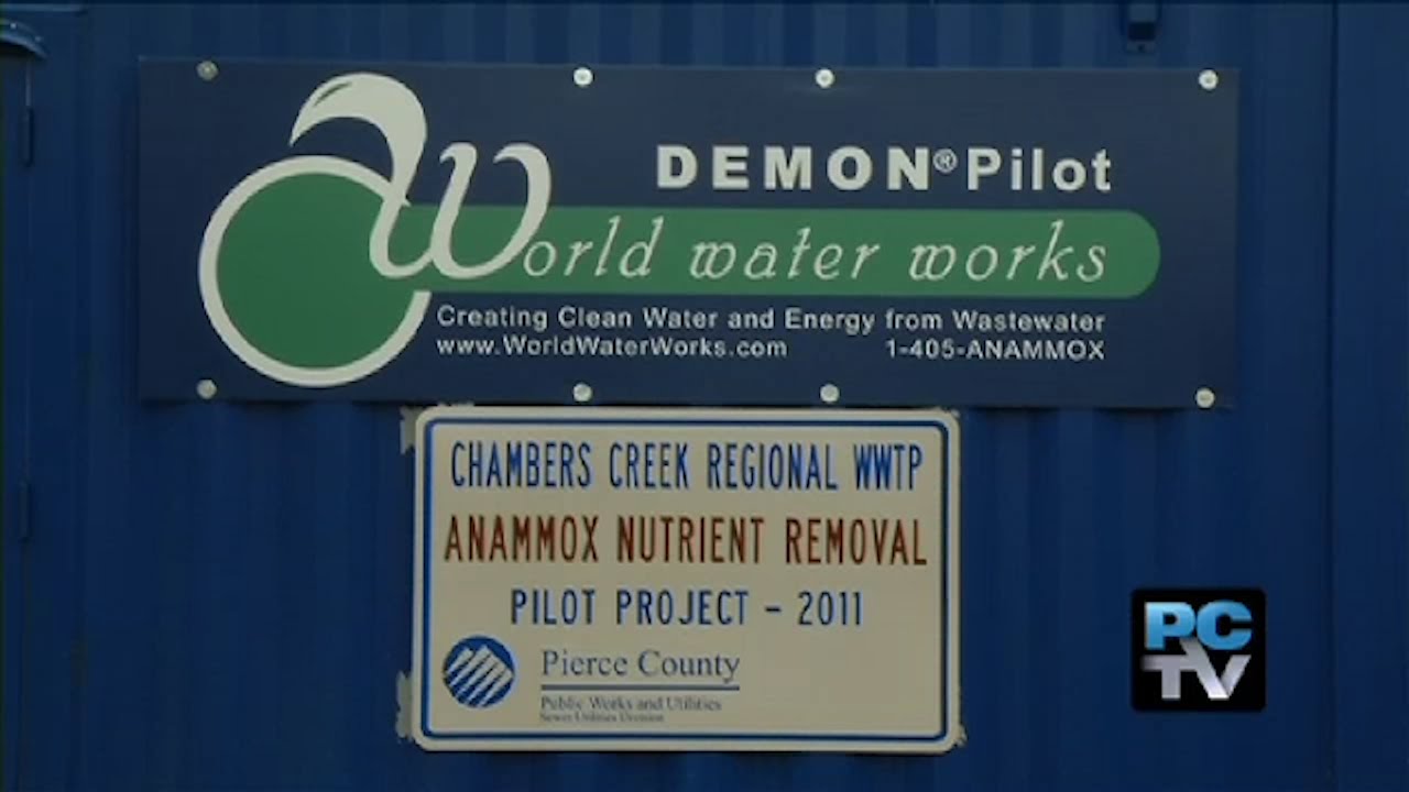 Anammox Bacteria - DEMON Pilot - YouTube