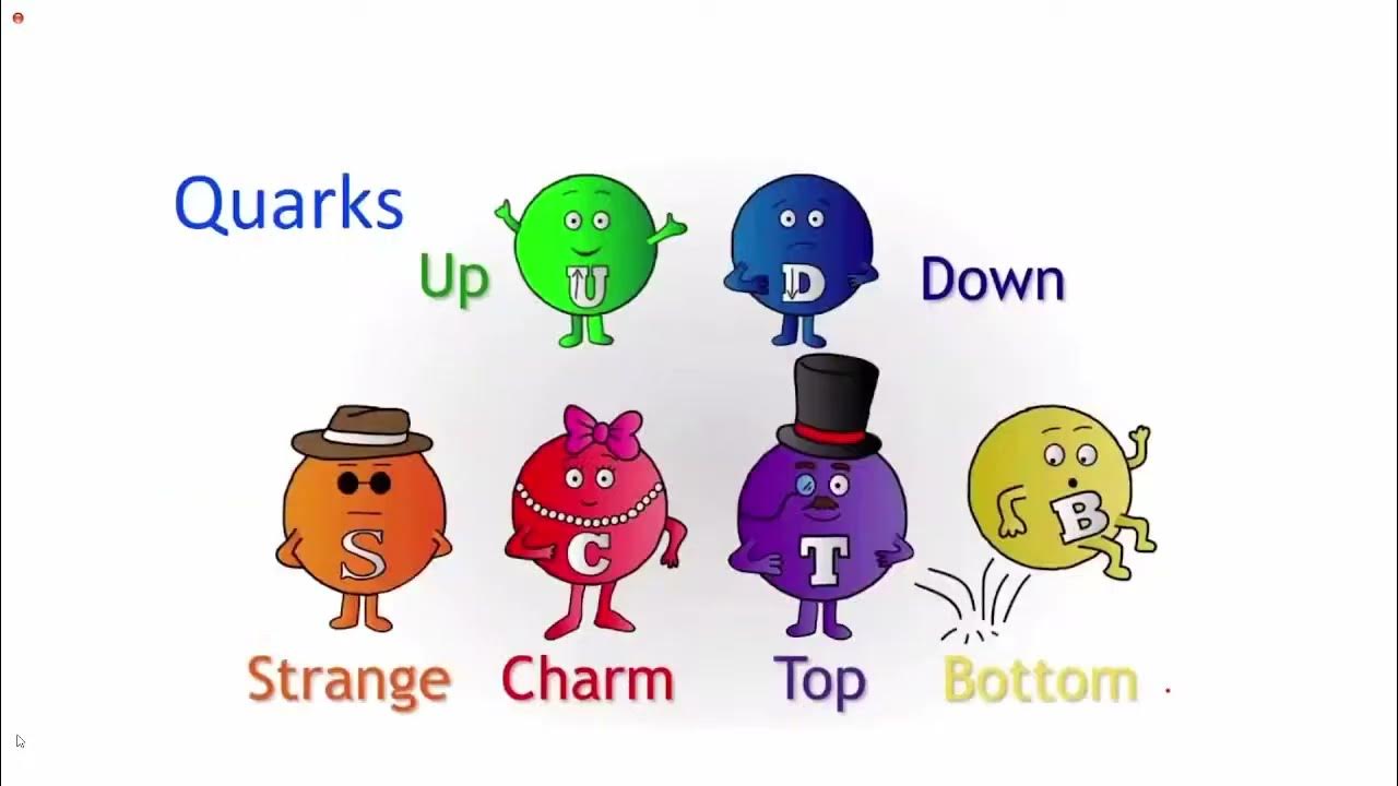 LEC ON ELEMENTARY PARTICLES BY BIJAY DIR - YouTube