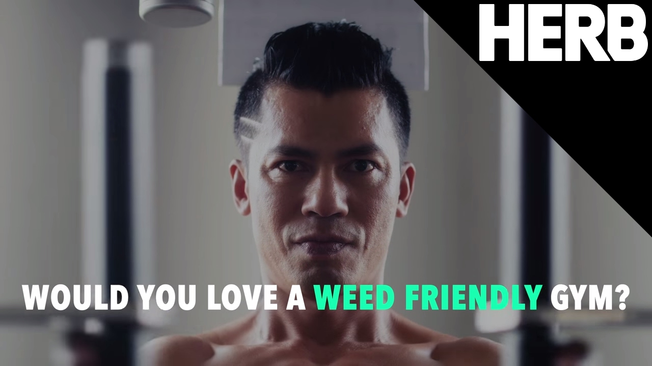 The First Ever Weed Gym | HERB Cannabis News - YouTube