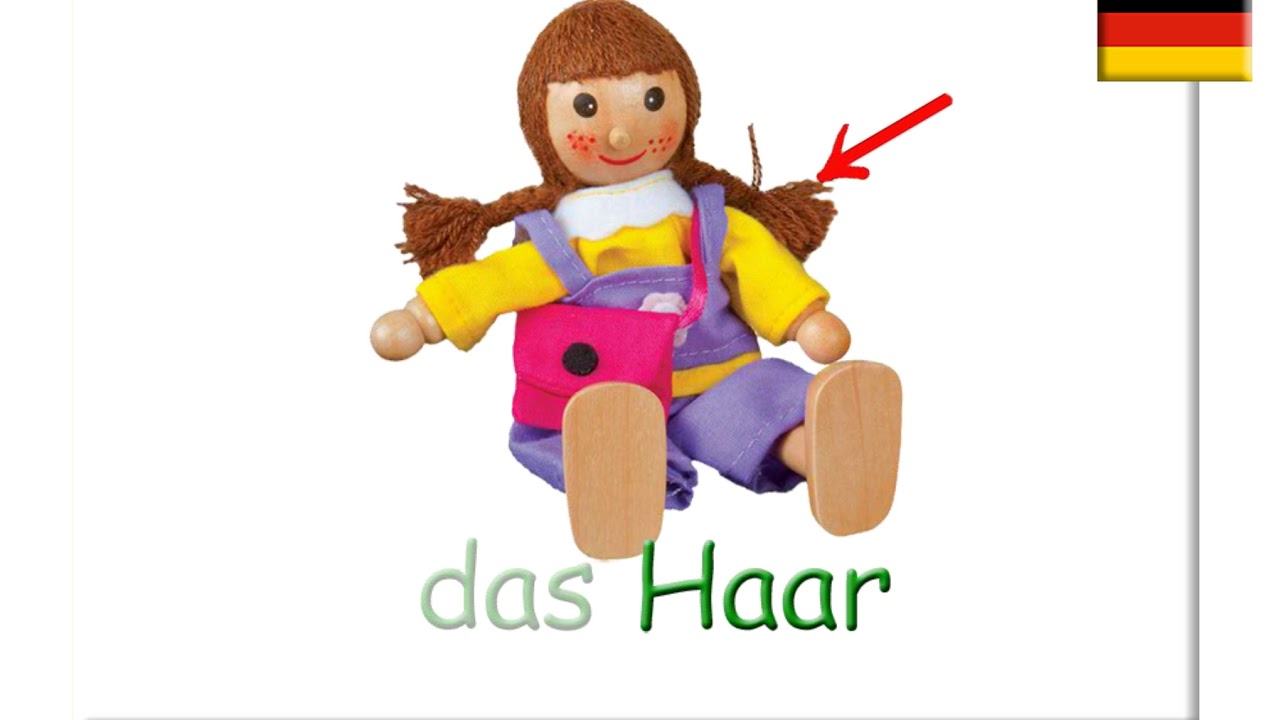 German flashcards ~ Body - YouTube